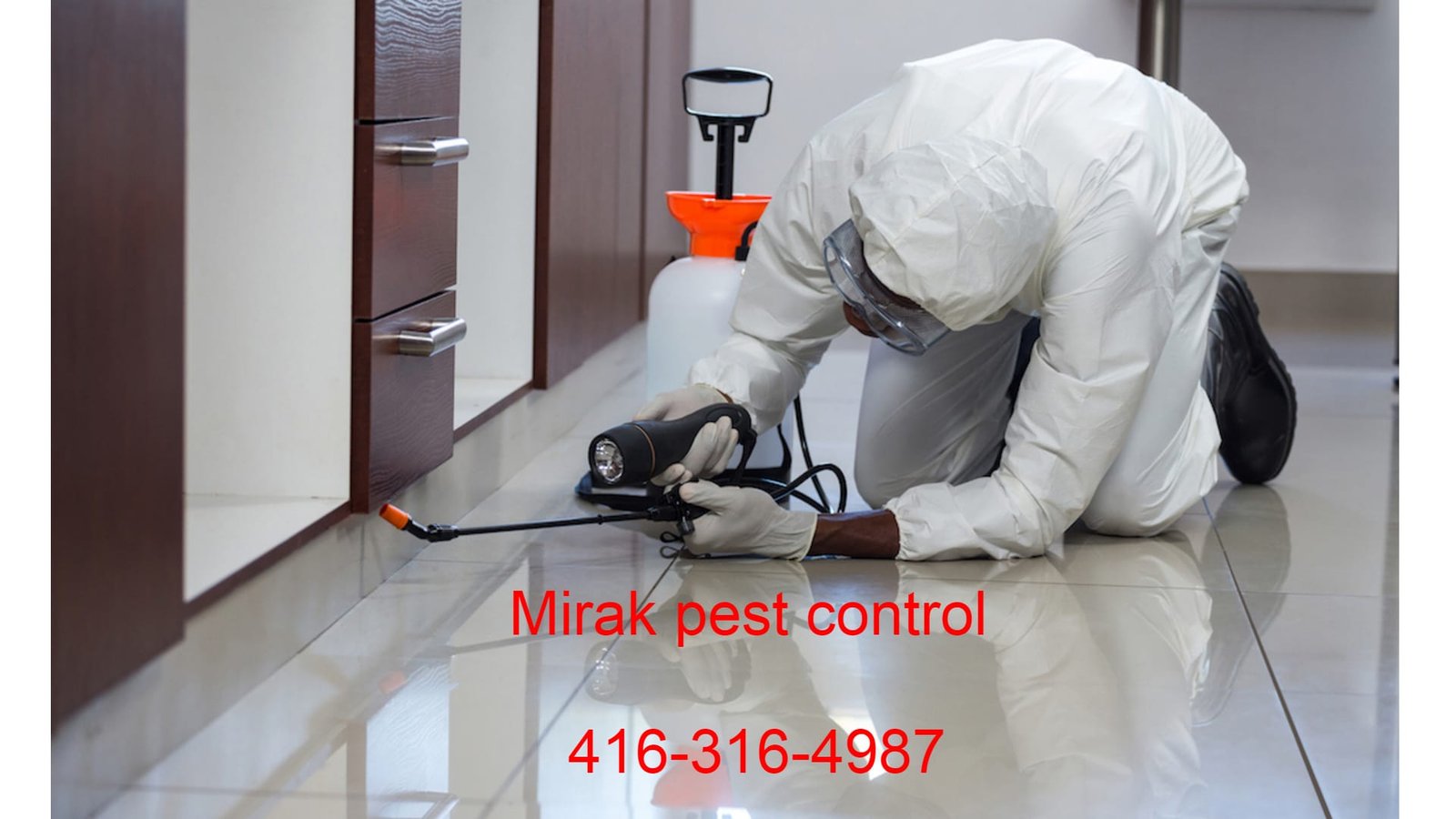 Pest Control Near Me Local Exterminator Pest Control Milton